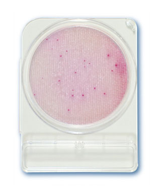 Compact Dry ETC | hyserve.com